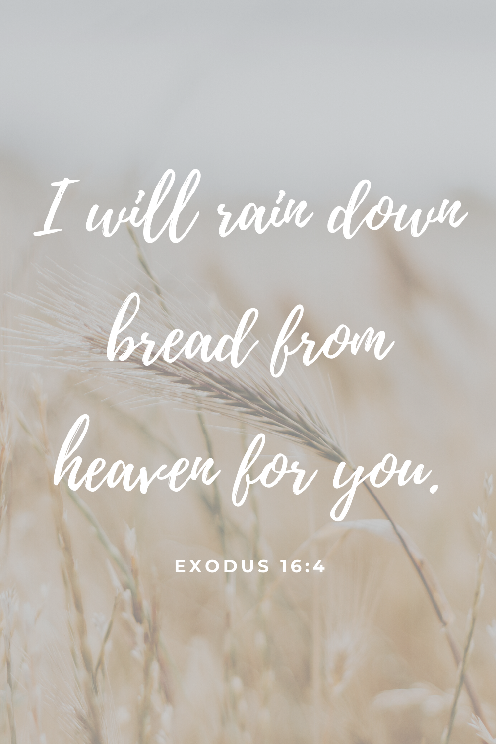 When the manna stops - Our Grace Filled Journey finding God's provision